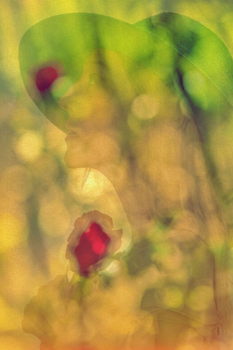 Stage REM ~ Profile of Autumn ~ | GANREF