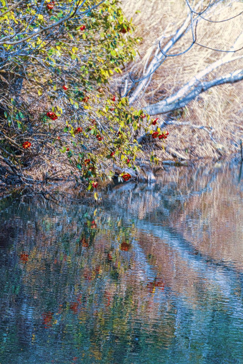 Stage REM ~peering into the abyss~ | GANREF