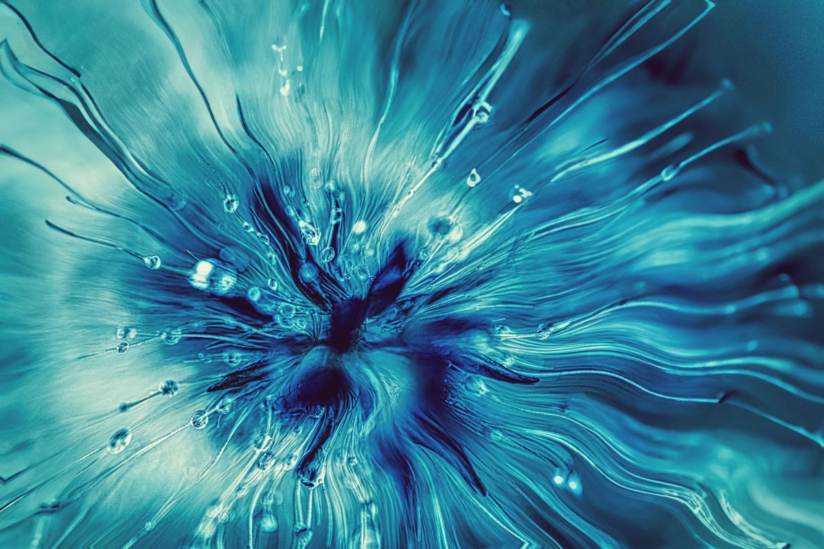 Stage REM ~ small burst ~ | GANREF