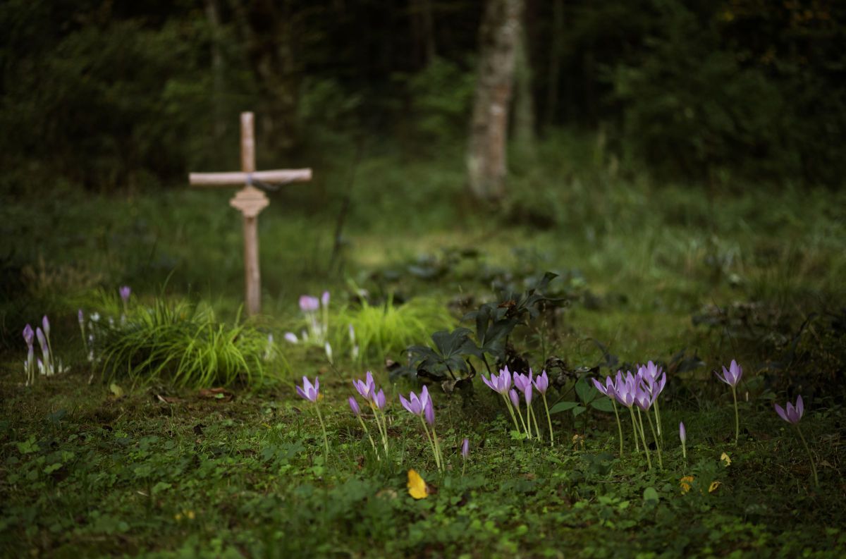 Stage REM ~ Modest Prayer ~ | GANREF