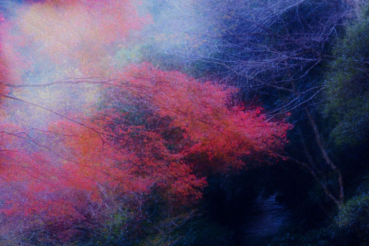 In a dream that still hasn't faded | GANREF