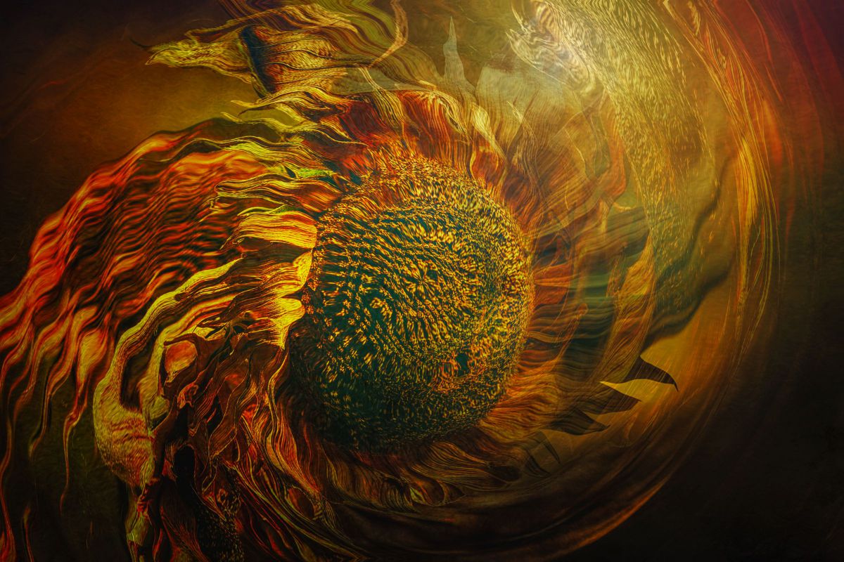 Stage REM ~Toward the light, and wind ~ | GANREF