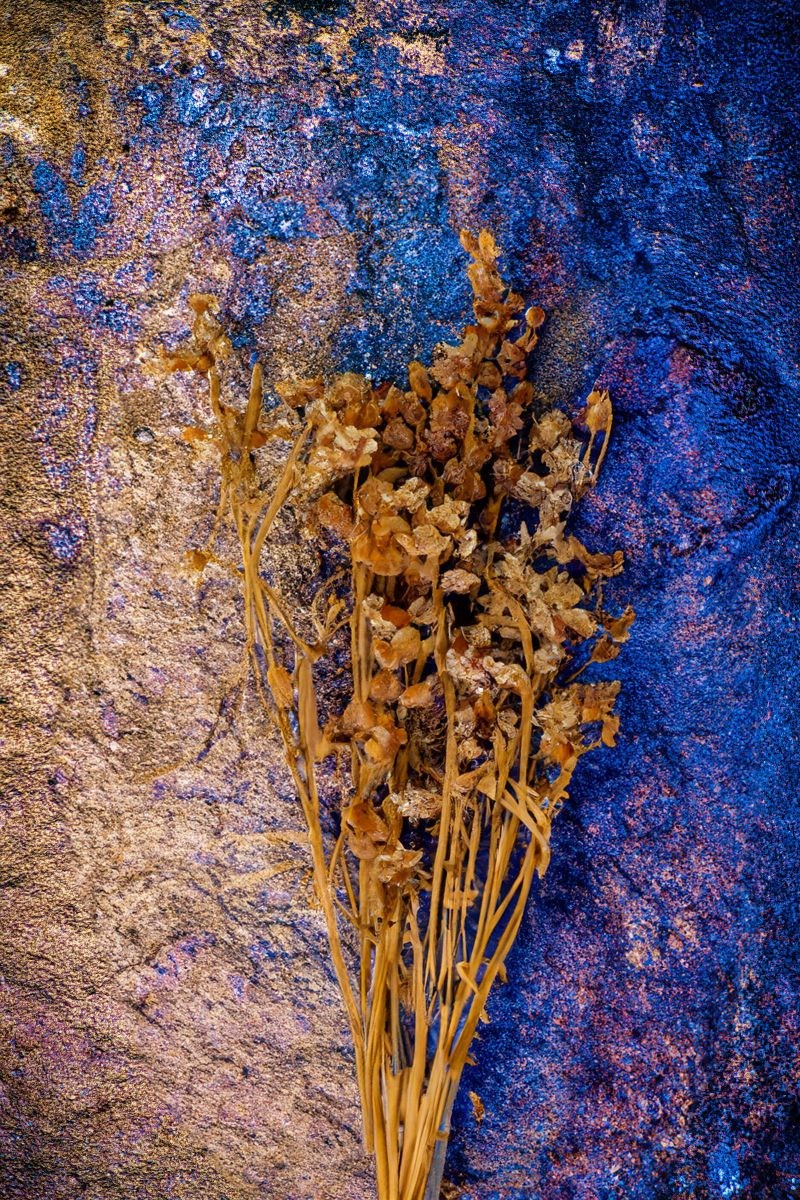 Stage REM ~ Pray with Floral tribute ~ | GANREF