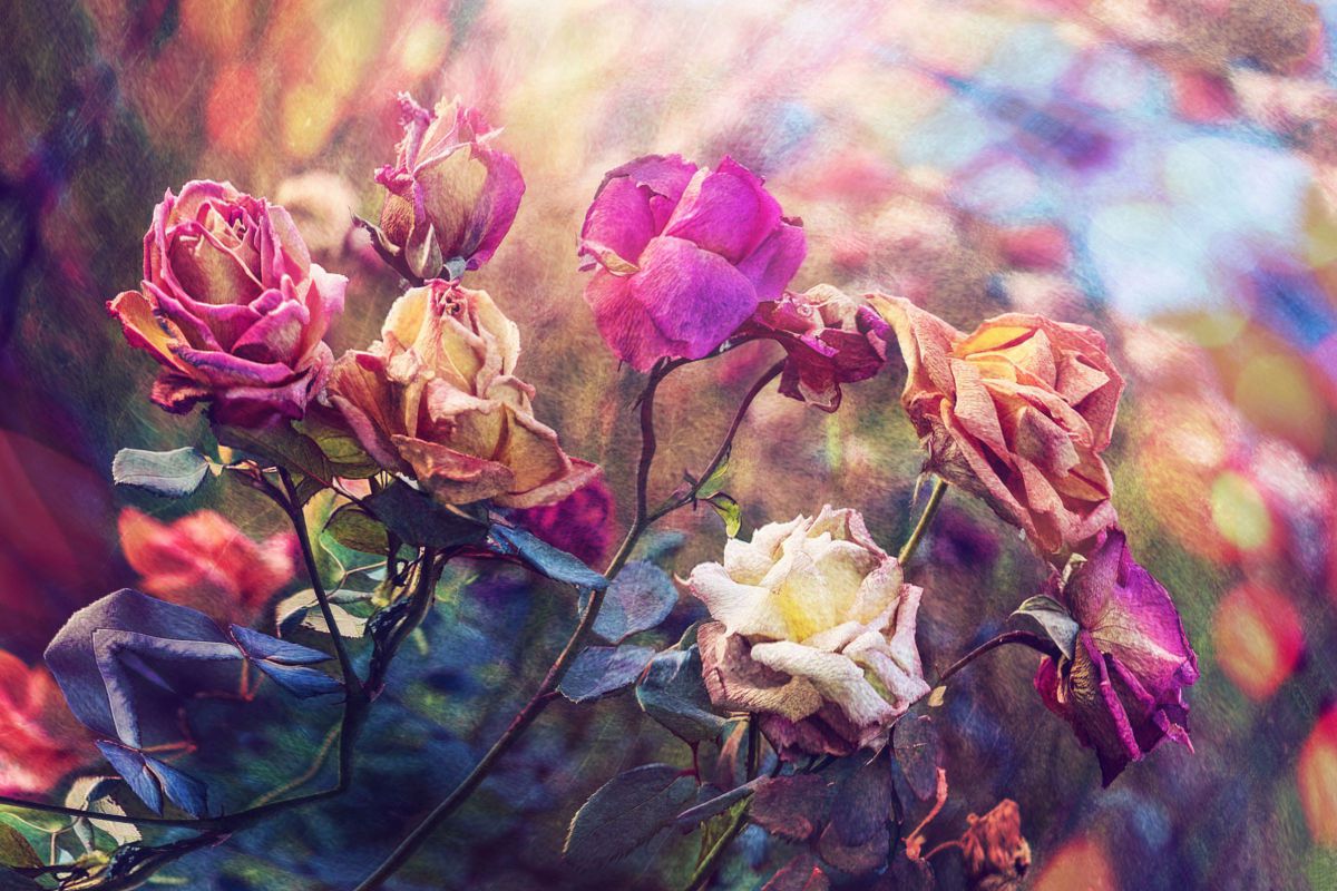 Stage REM ~the last brilliance ~ | GANREF