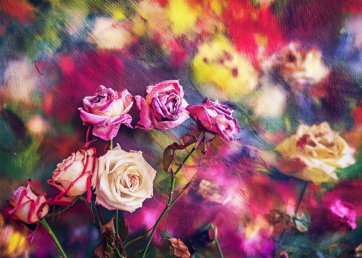 Stage REM ~ Last Dance ~ | GANREF