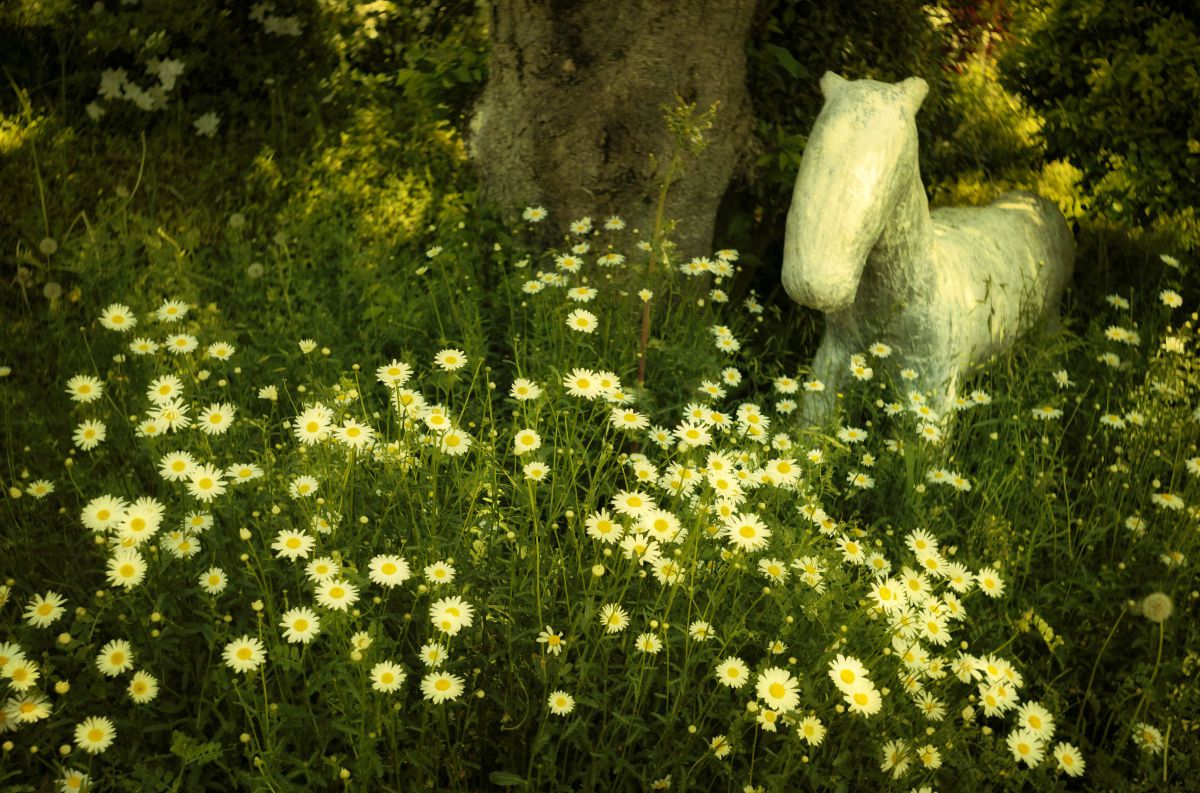 Hide & Seek | GANREF