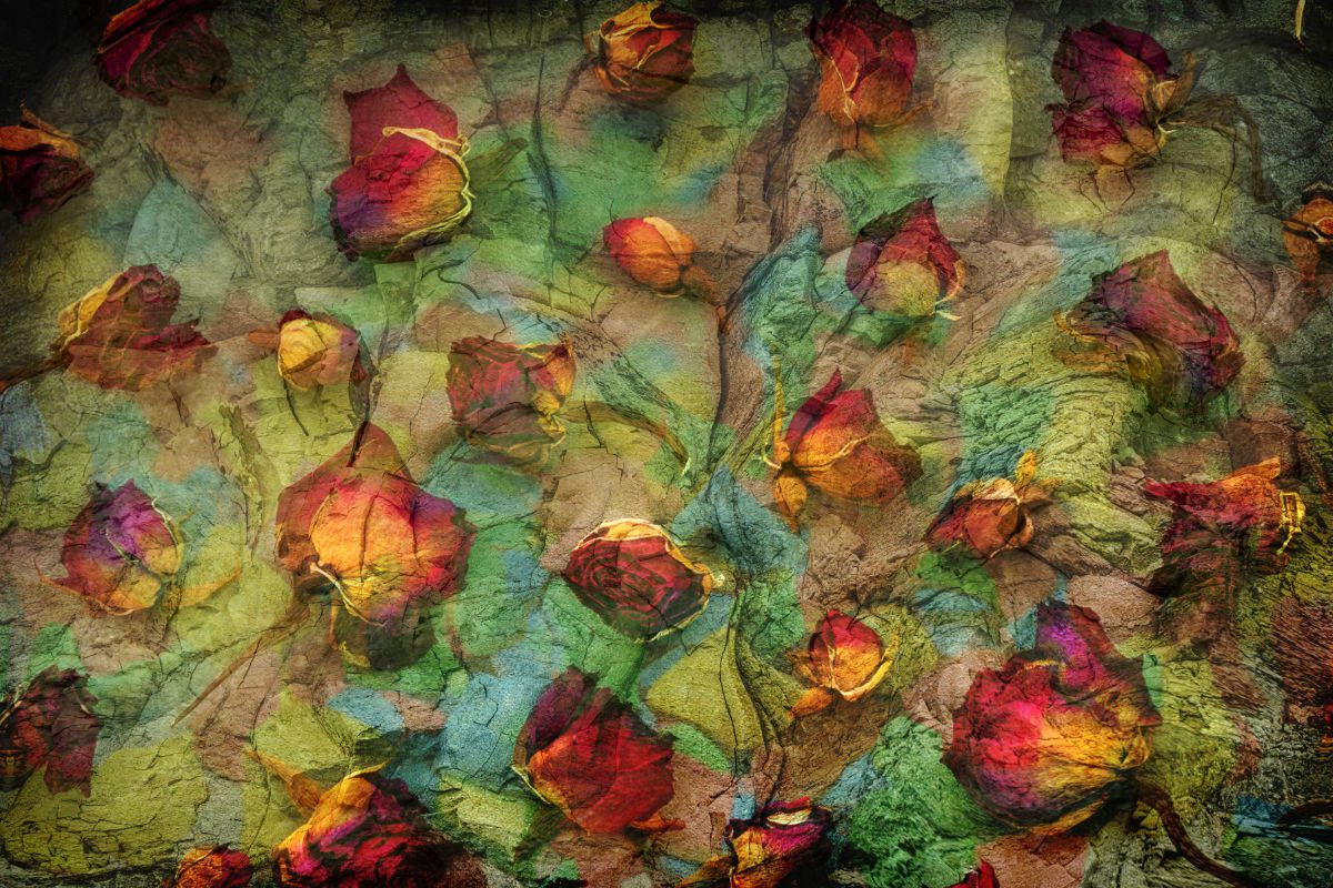 Stage REM ~ Final abode of the Rose ~ | GANREF