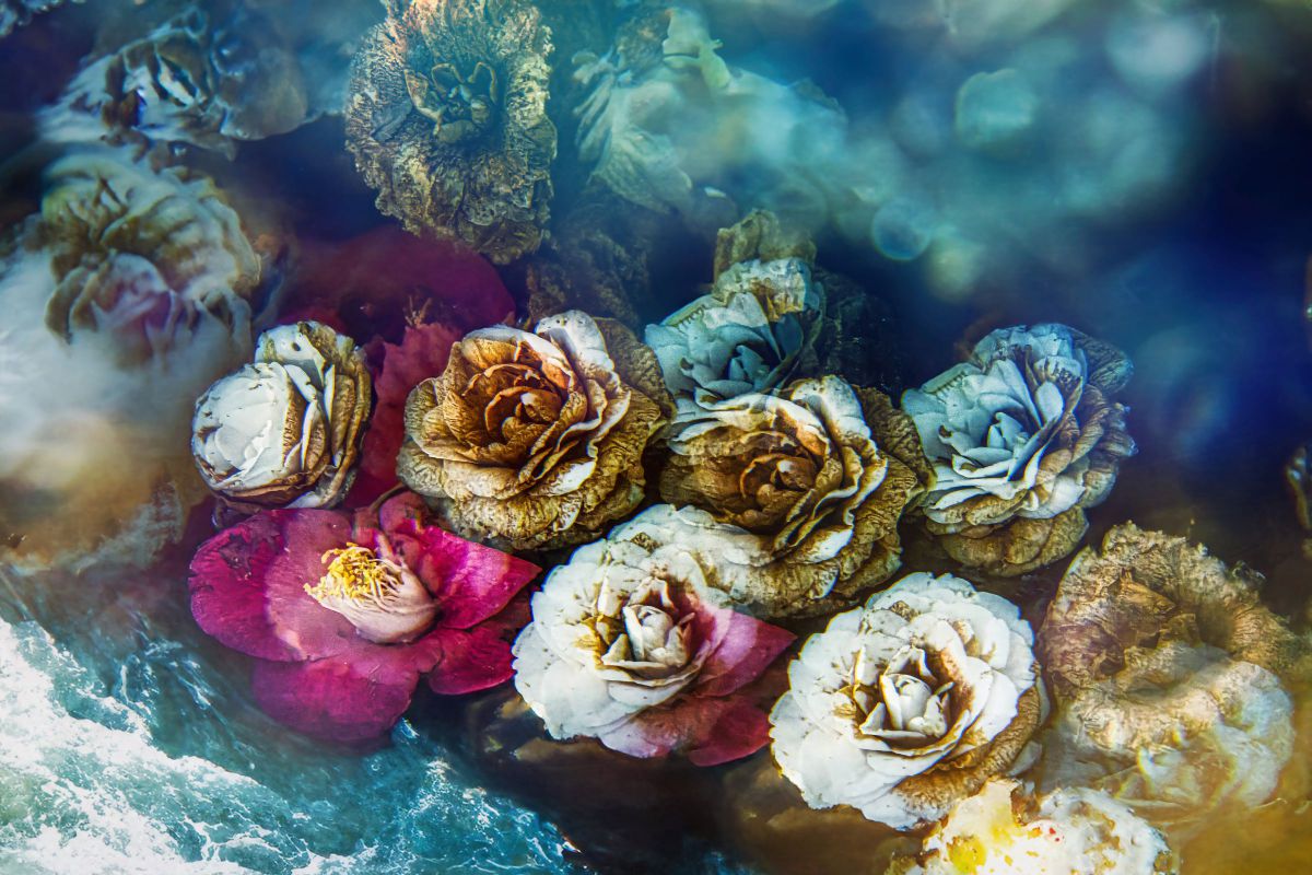 Stage REM ~Backwater of Time~ | GANREF