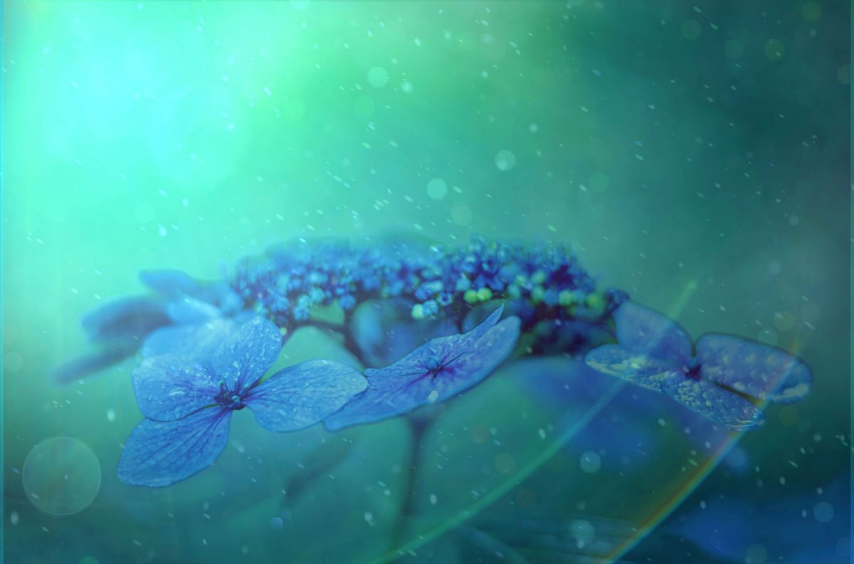 Stage REM ~ Sun Shower ~ | GANREF