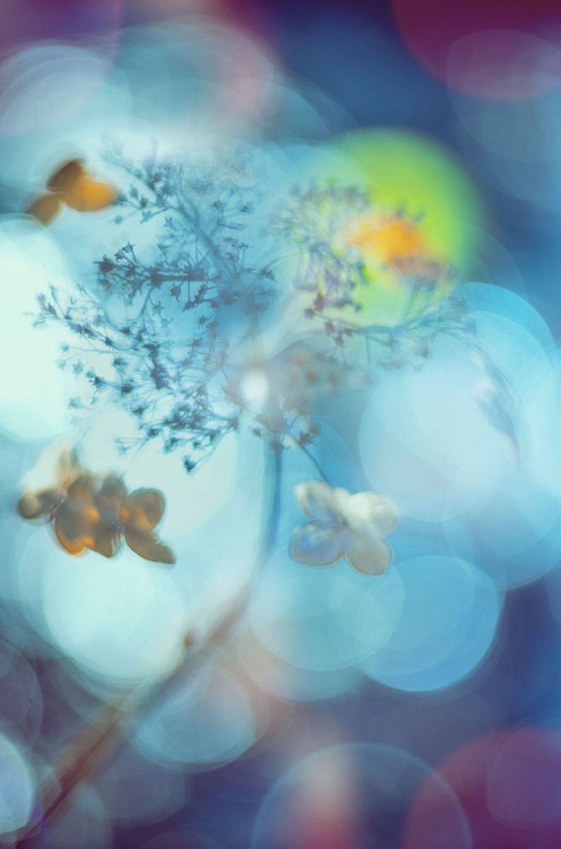 Stage REM ~ Endless Dream ~ | GANREF