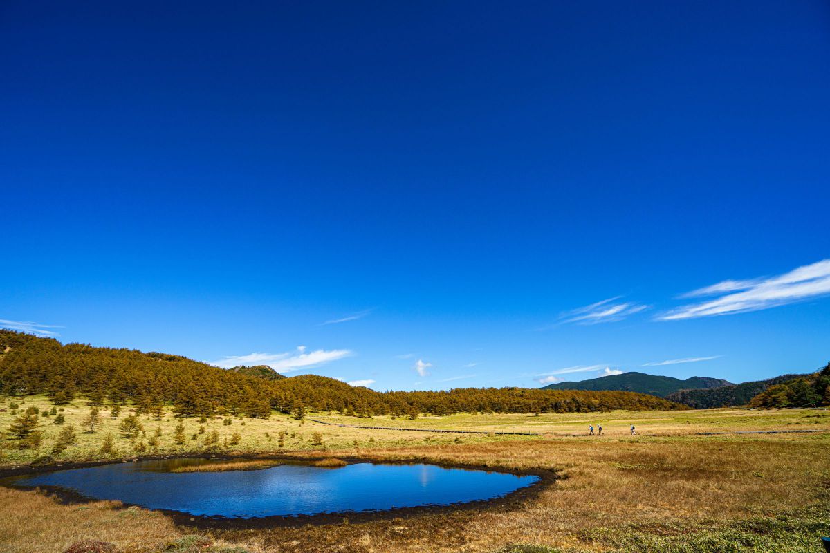 今日はgood feeling! | GANREF