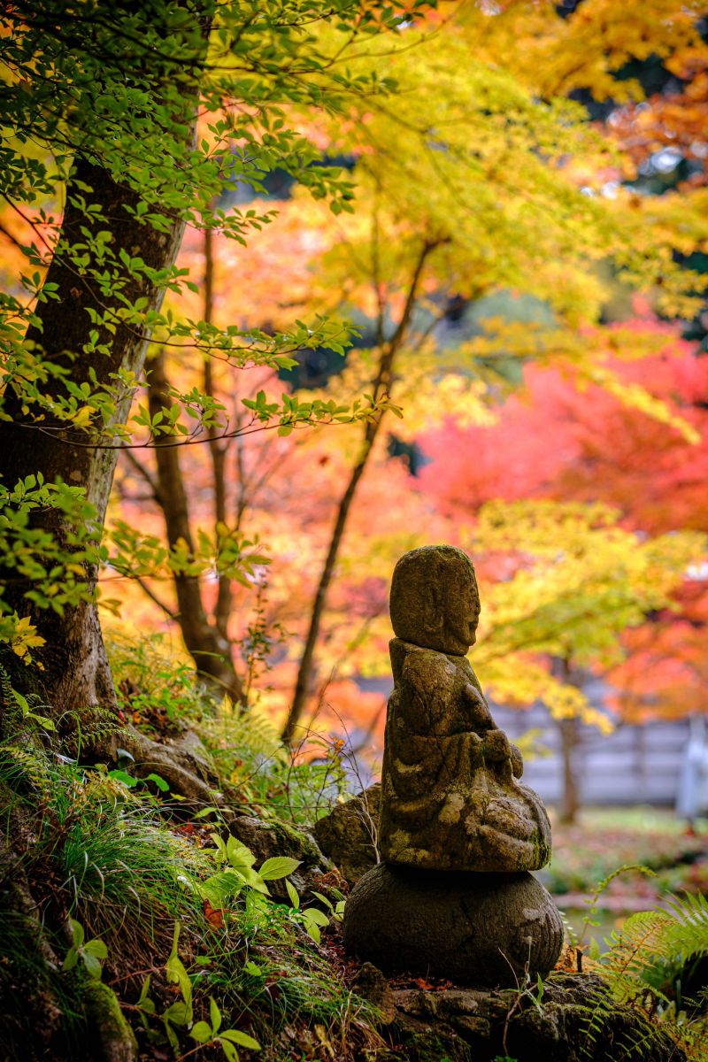 寺の秋 | GANREF