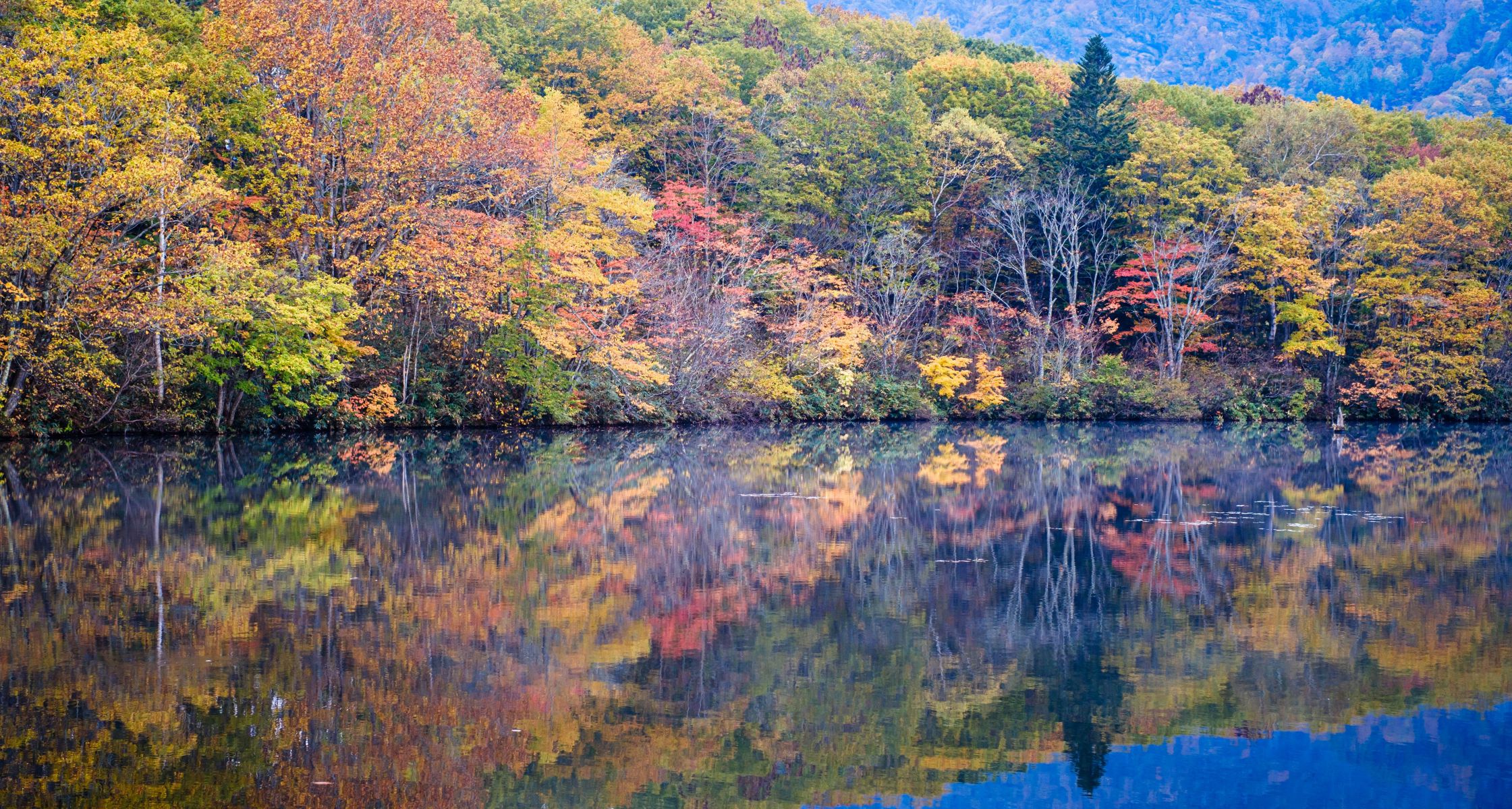 リフレクション | GANREF