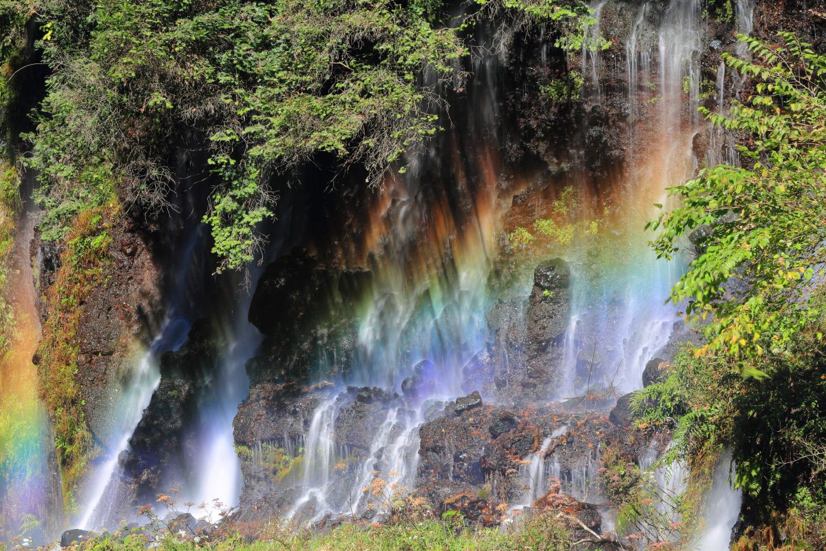 Stream of Dreams ⑨ | GANREF