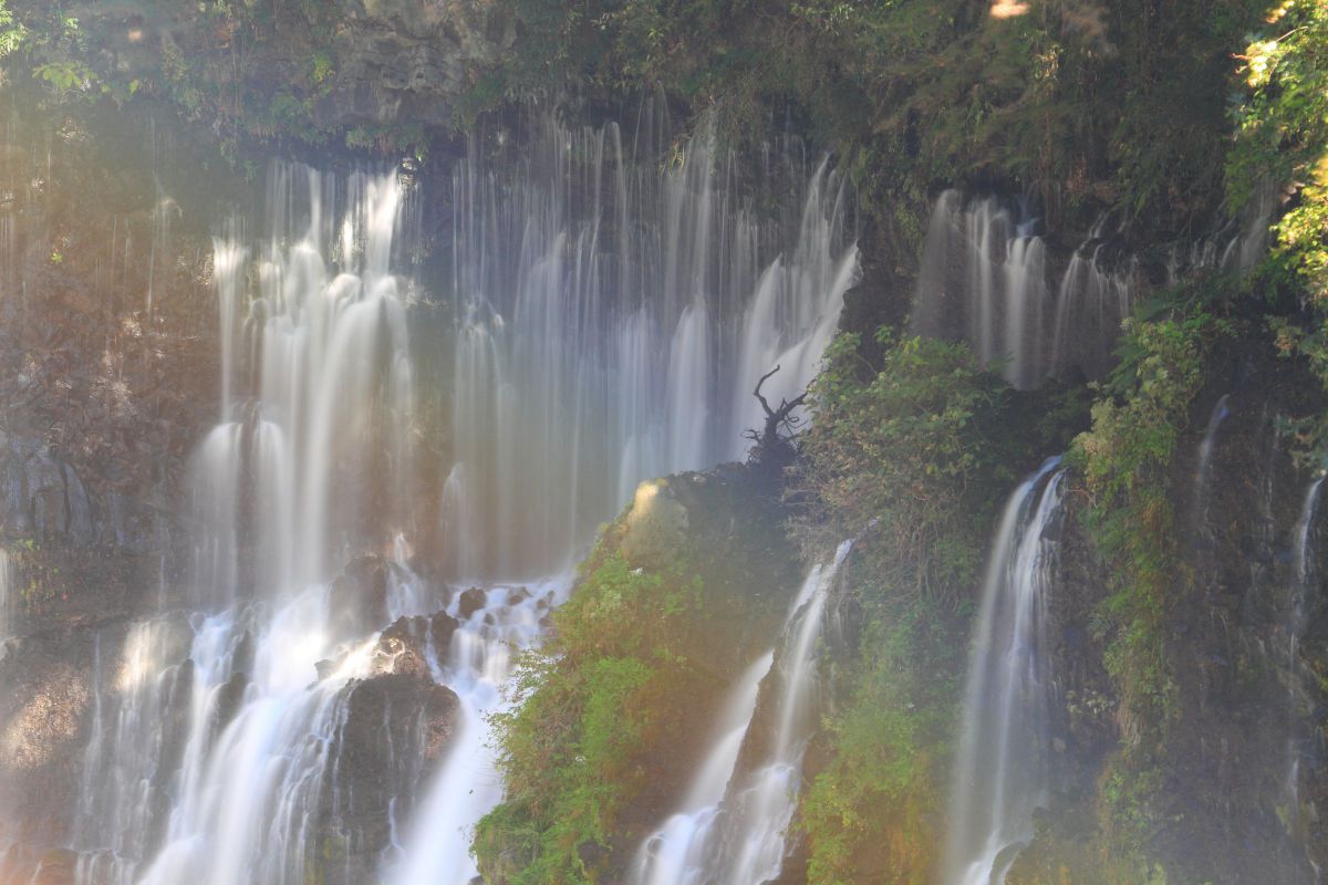 Stream of Dreams ⑧ | GANREF