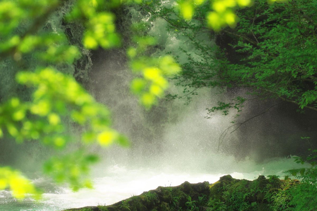 Green splash | GANREF