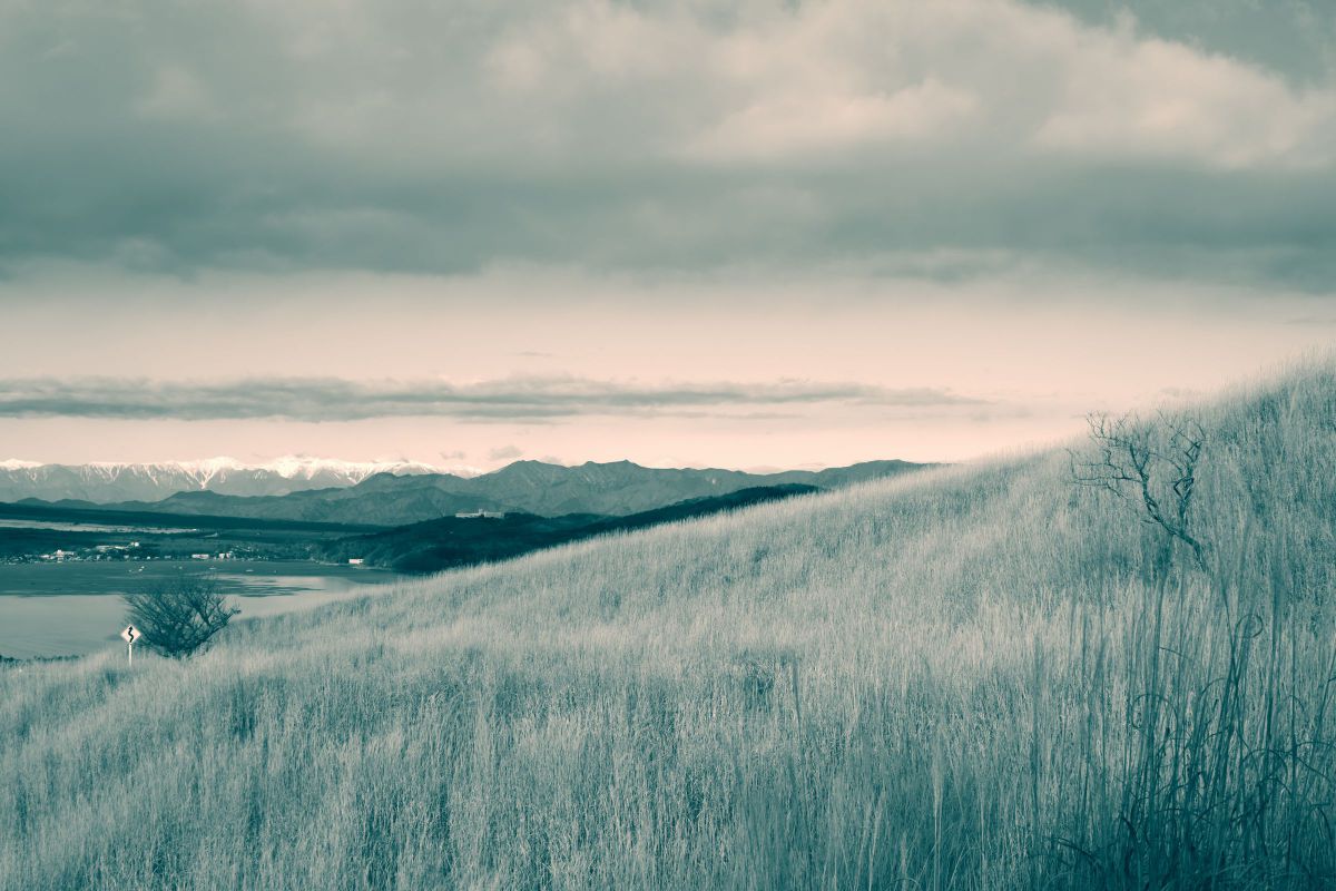 Long and winding road | GANREF