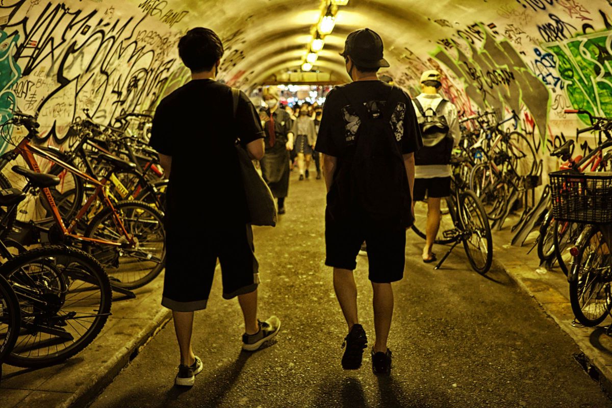 Into the chaos dimension | GANREF