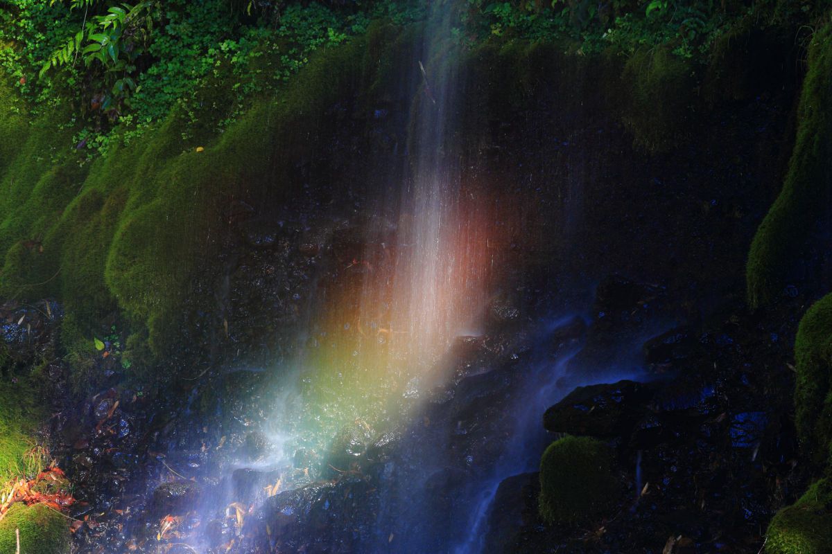 Stream of Dreams ② | GANREF