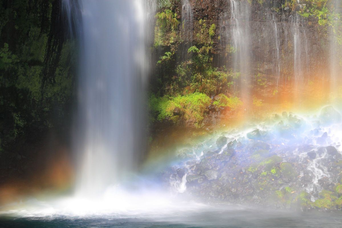 Stream of Dreams ④ | GANREF