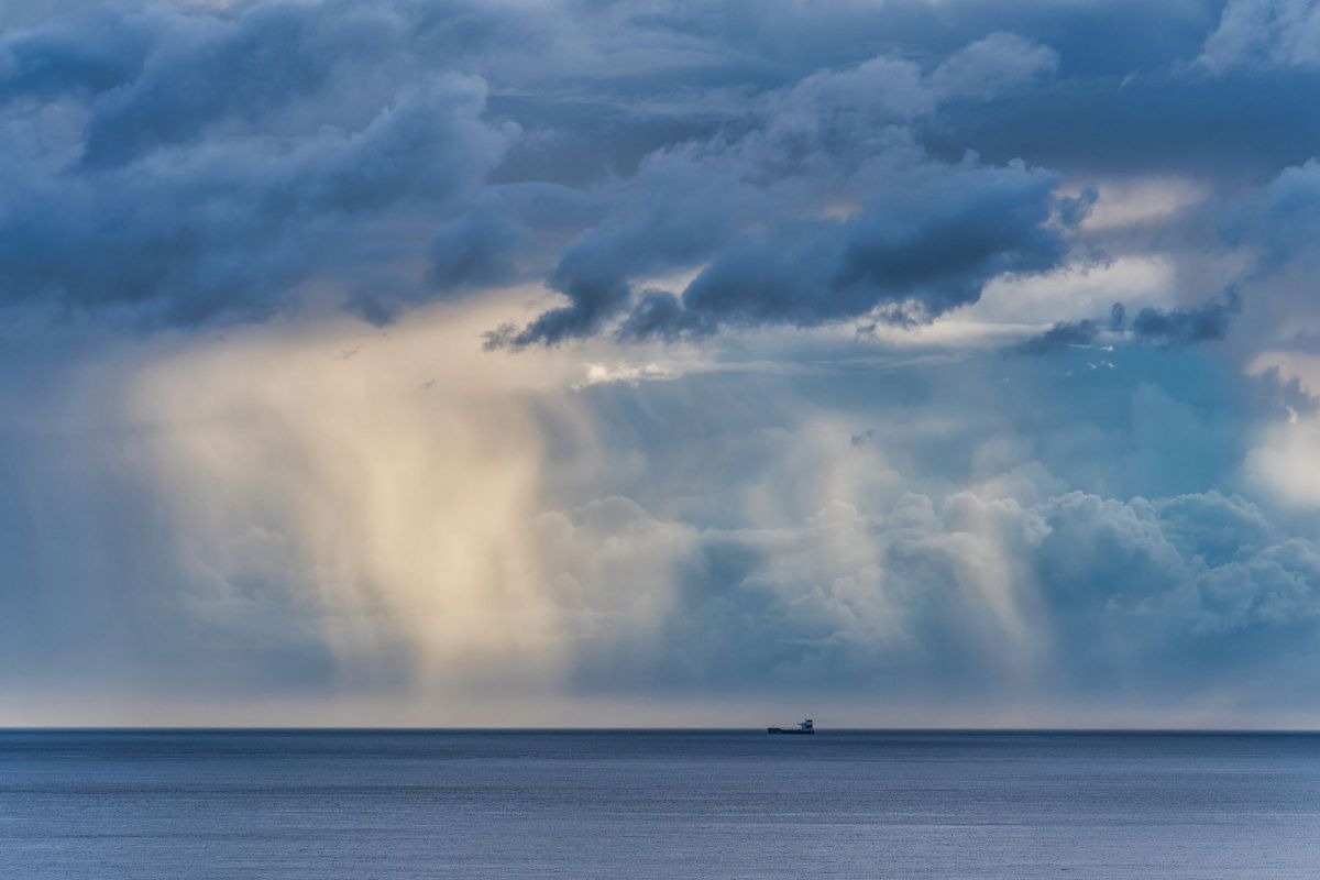 into the storm | GANREF