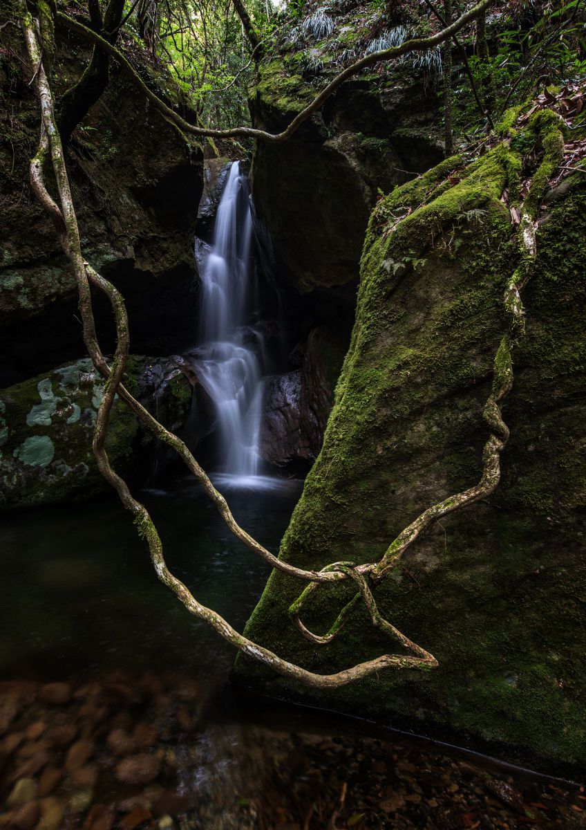 natural modeling | GANREF