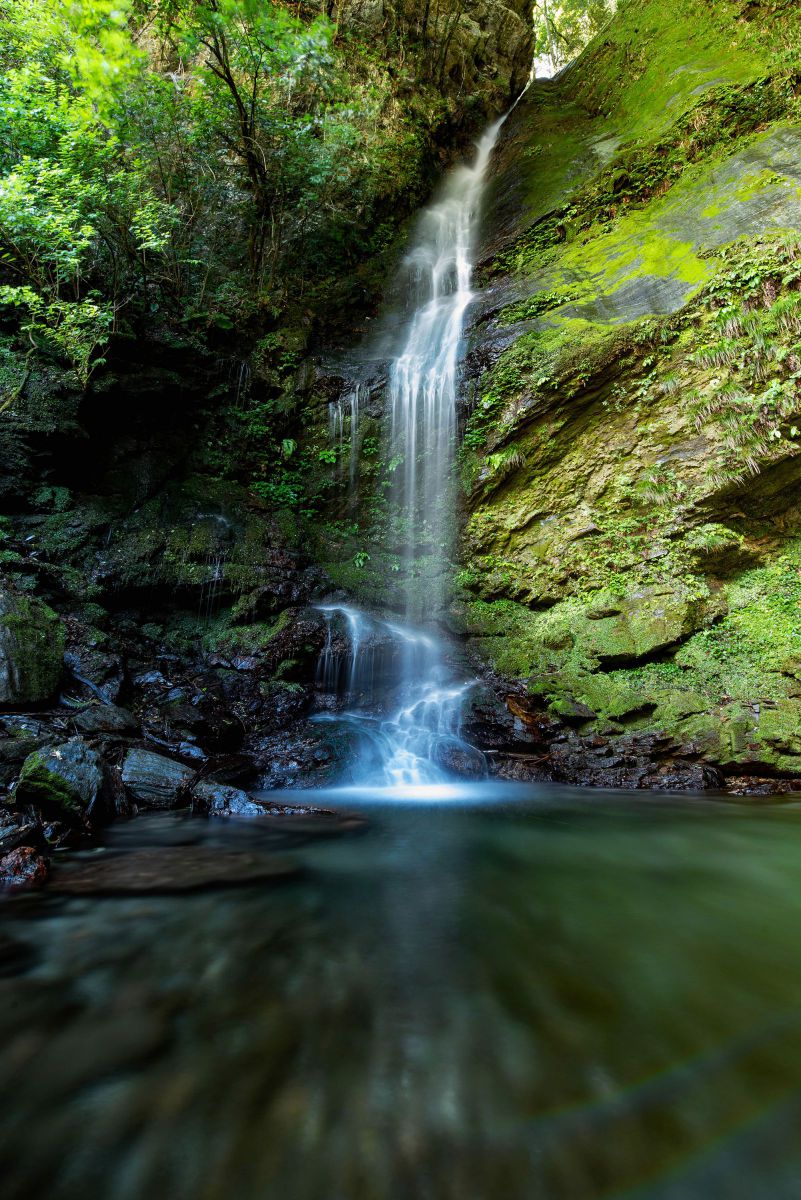 stillness and motion | GANREF