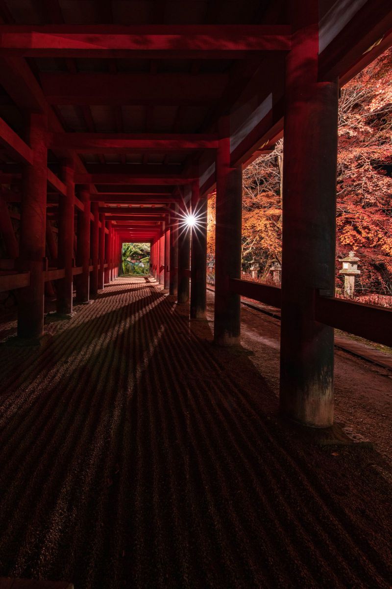 right future | GANREF