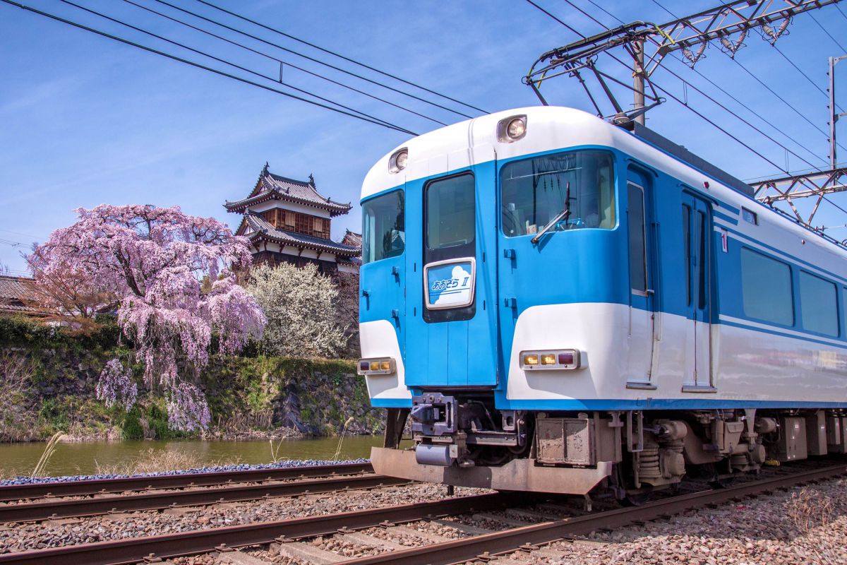 spring train | GANREF