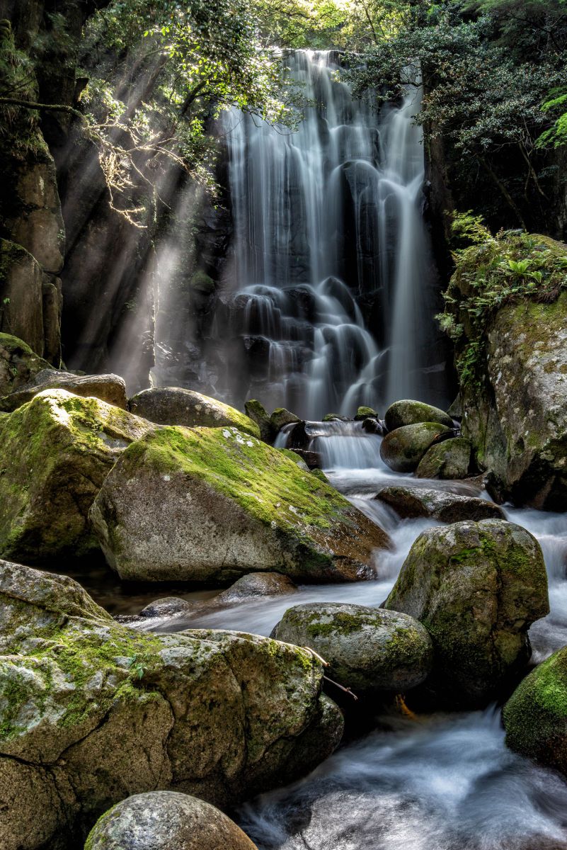 mysterious flow | GANREF