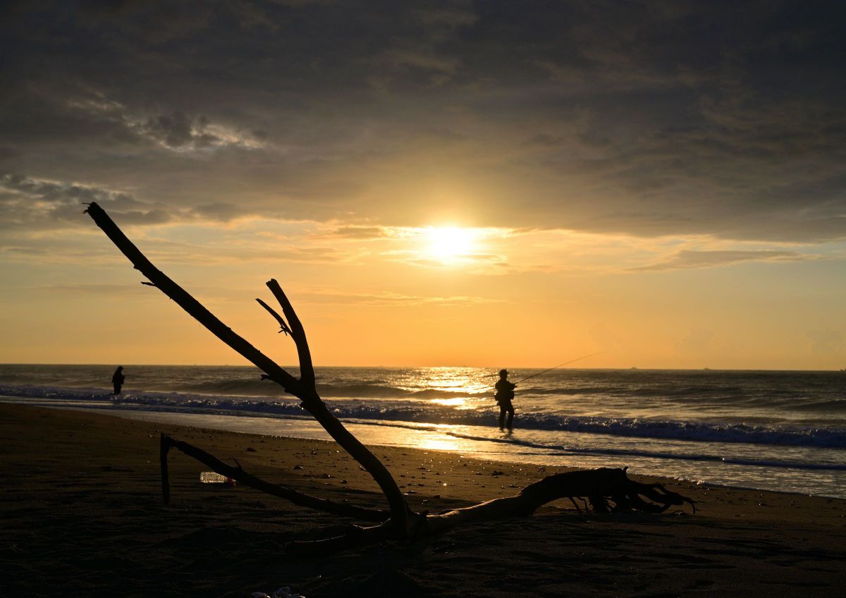 朝陽とANGLER | GANREF