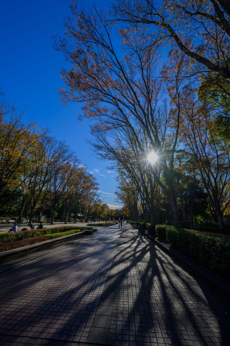 onE AutUmn DAy | GANREF