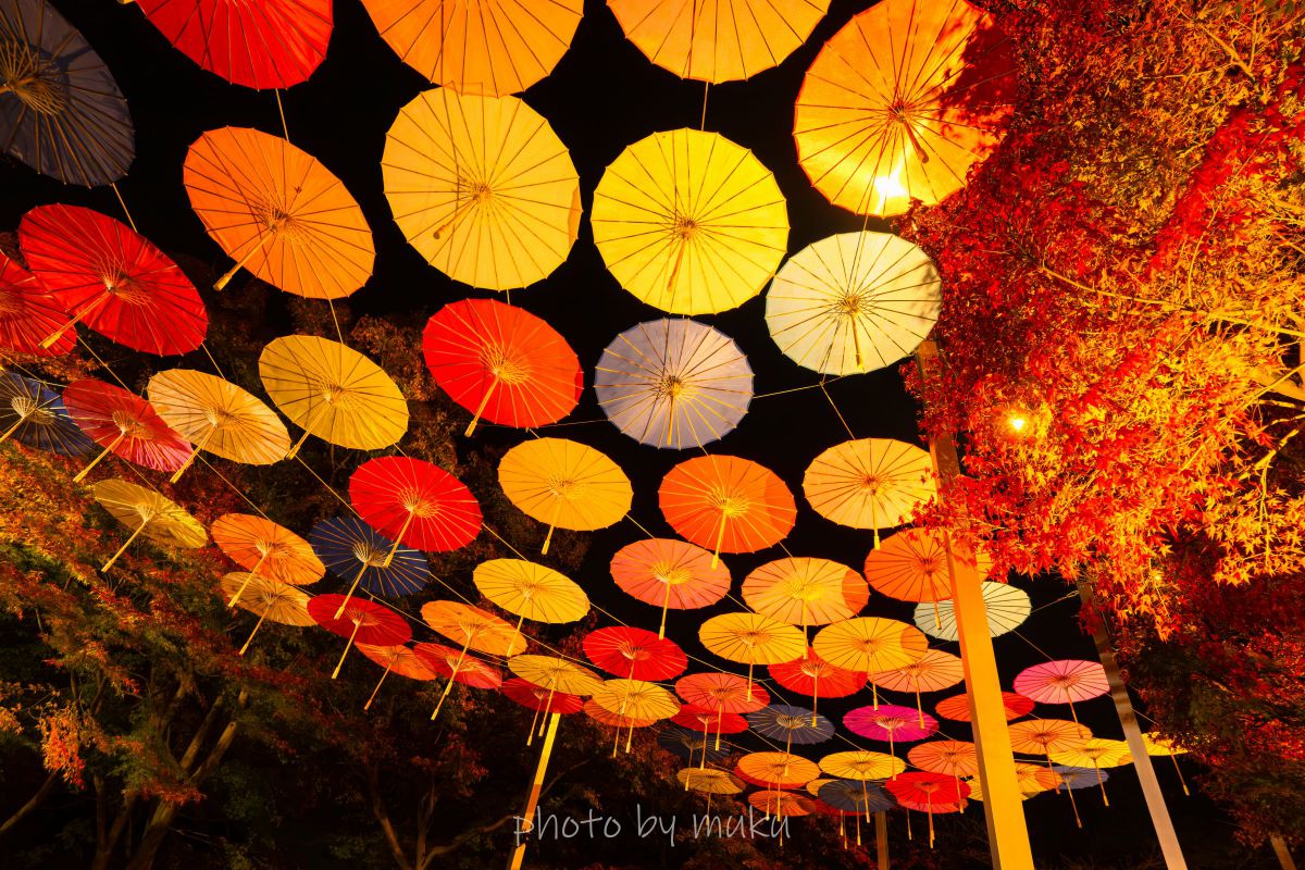 「和」アンブレラ night スカイ | GANREF