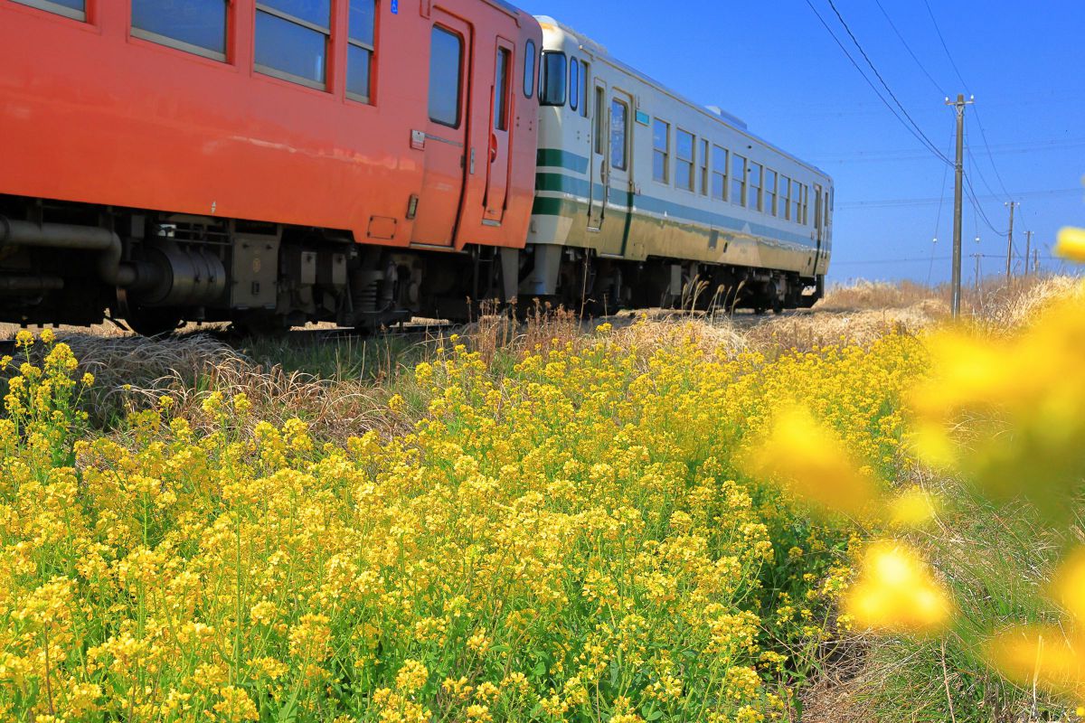 早春の上総 Ⅳ(final) | GANREF