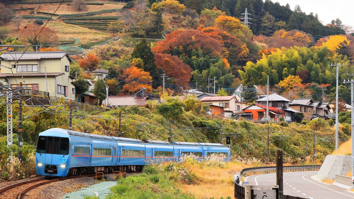 晩秋の駿河路 2023 final | GANREF