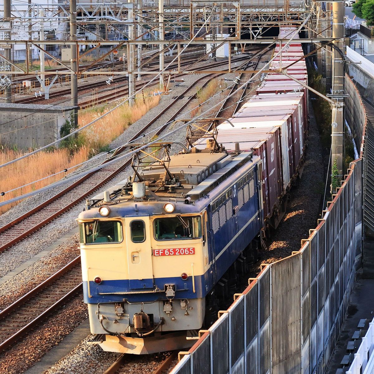 絶滅危惧種 EF65 Ⅱ | GANREF