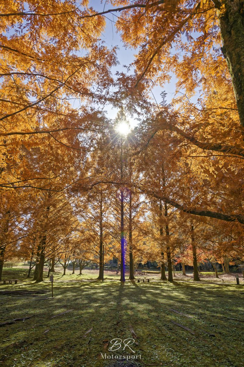 長岡公園 | GANREF
