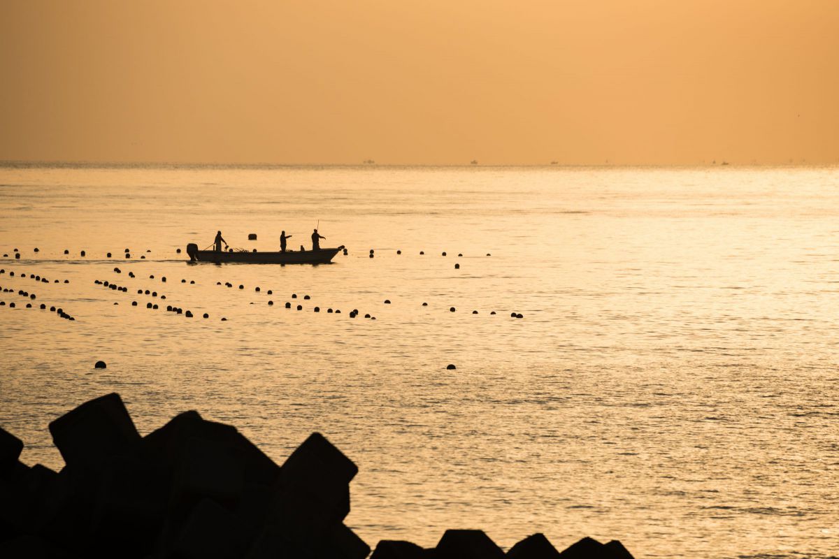 Two-color world | GANREF