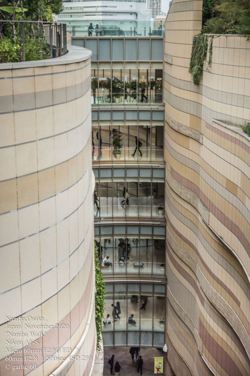 Separate life | GANREF