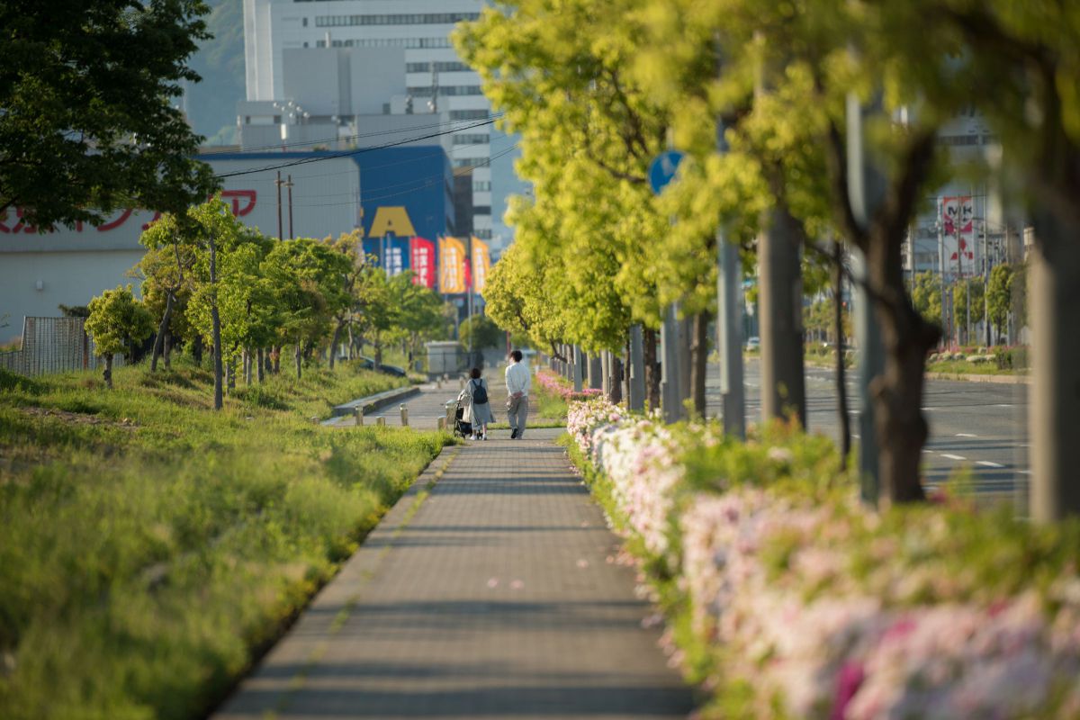 comfortable road | GANREF