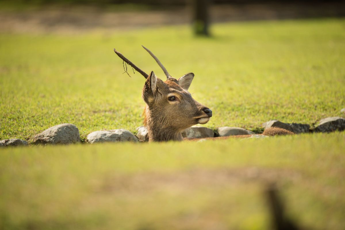 no one gripping a hammer , right ? | GANREF