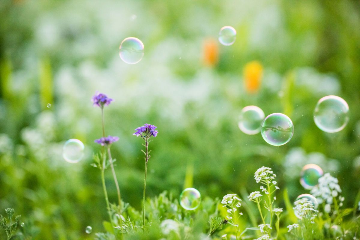 Where the wind blow ♪ | GANREF