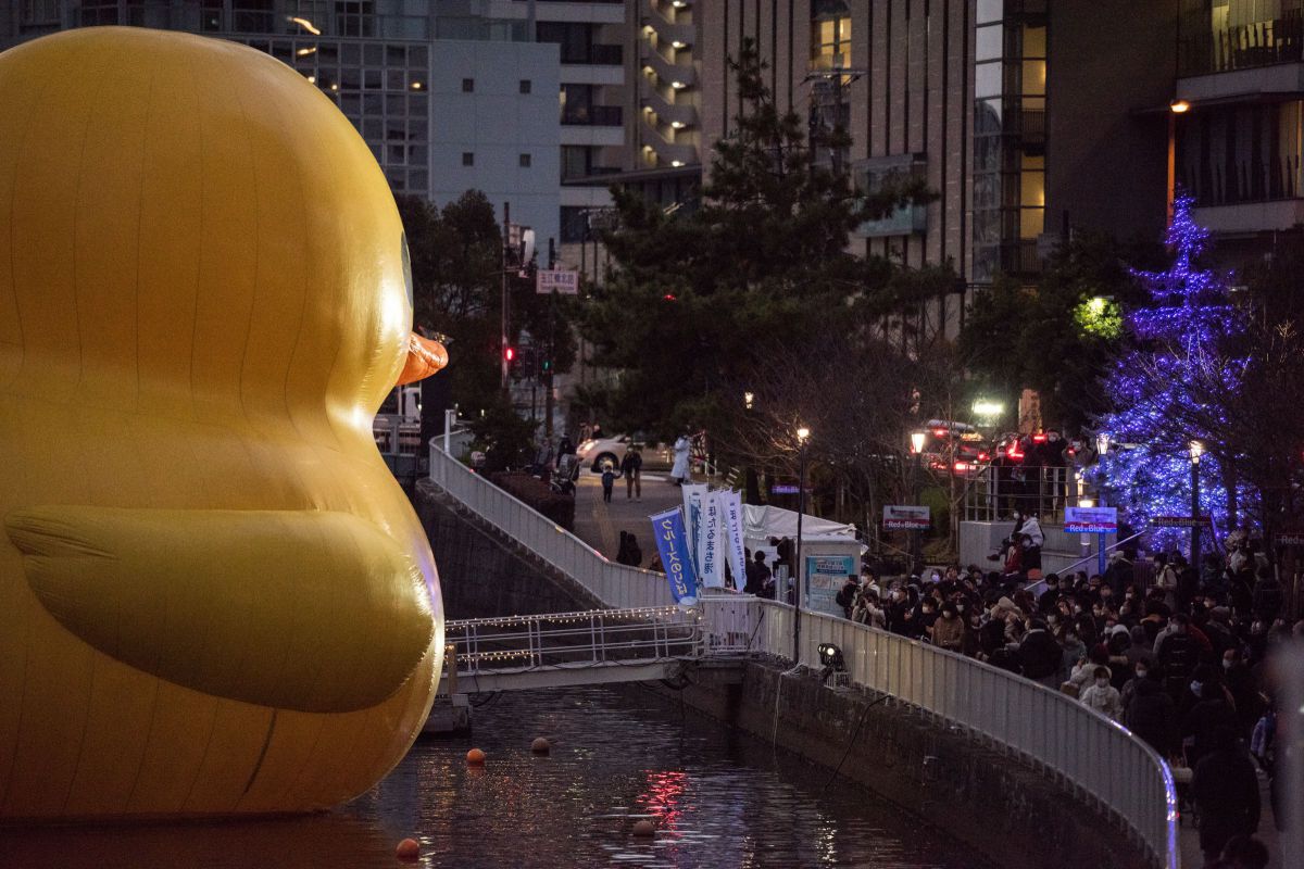 Floating Duck overwhelm | GANREF