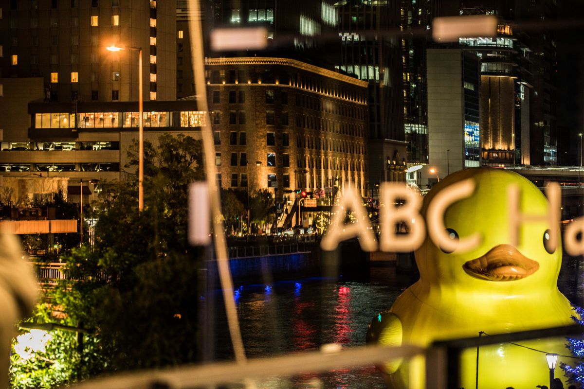 The Observer | GANREF