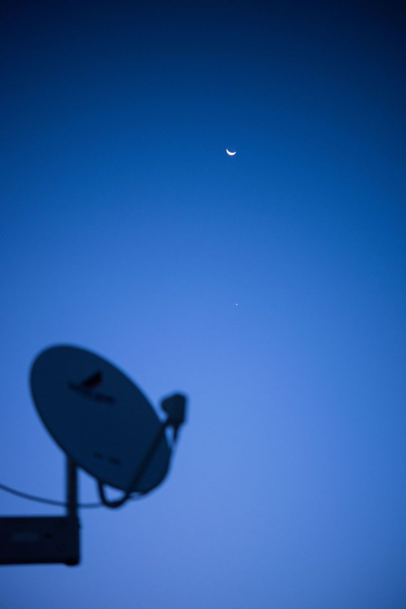 If only , if only , | GANREF