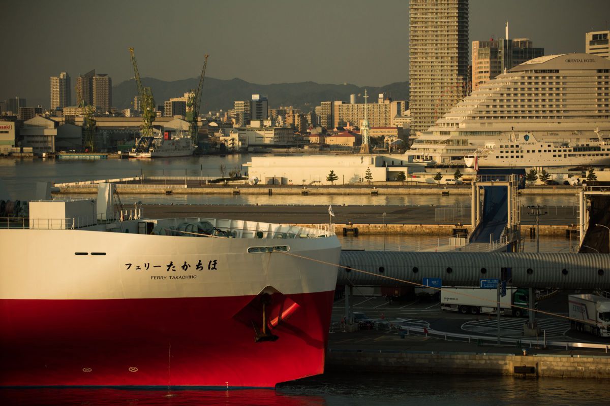 Graceful Curves | GANREF