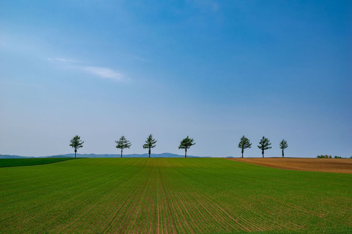 メルヘンの丘 | GANREF