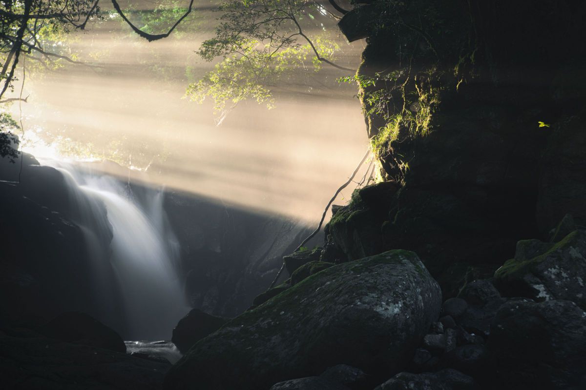 Light Shower | GANREF