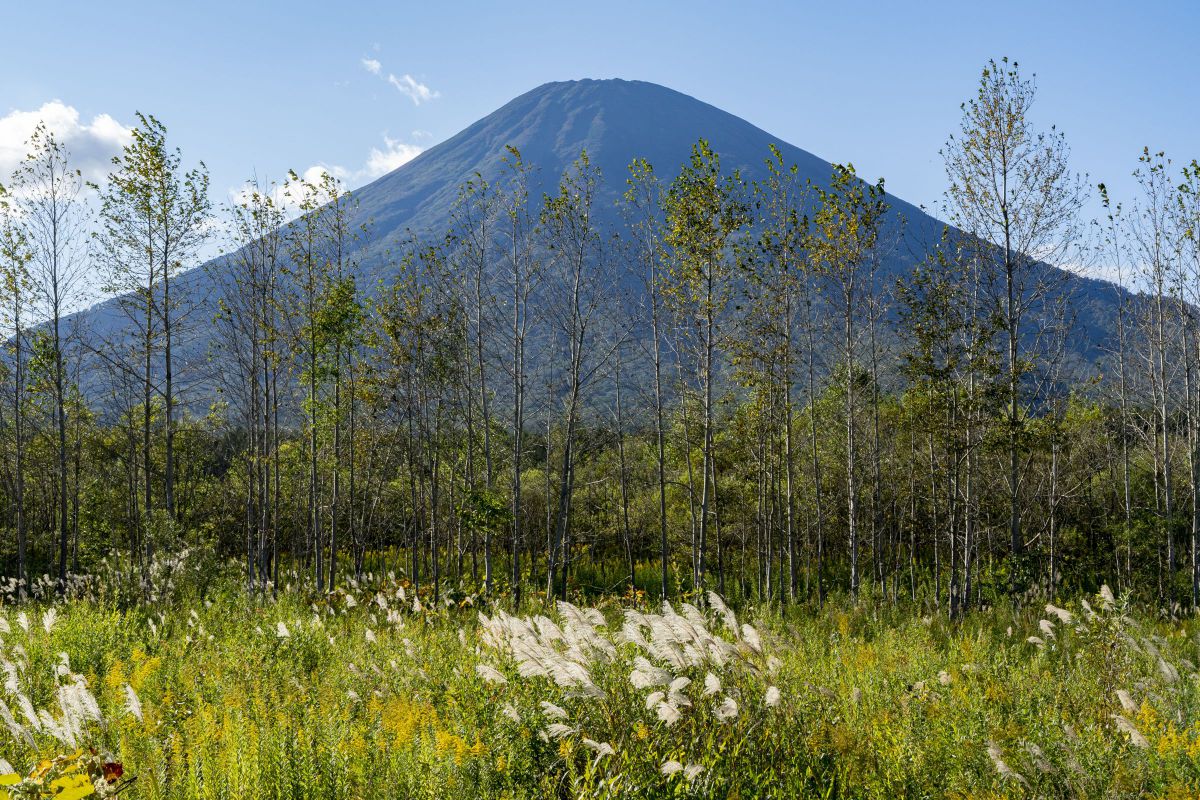 Project [52 Weeks] : Week Thirty Three | GANREF