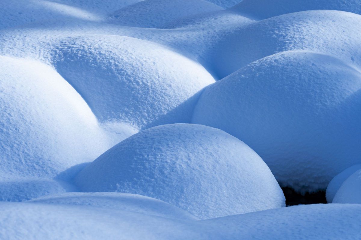 Project [52 Weeks] : Week Forty Five | GANREF